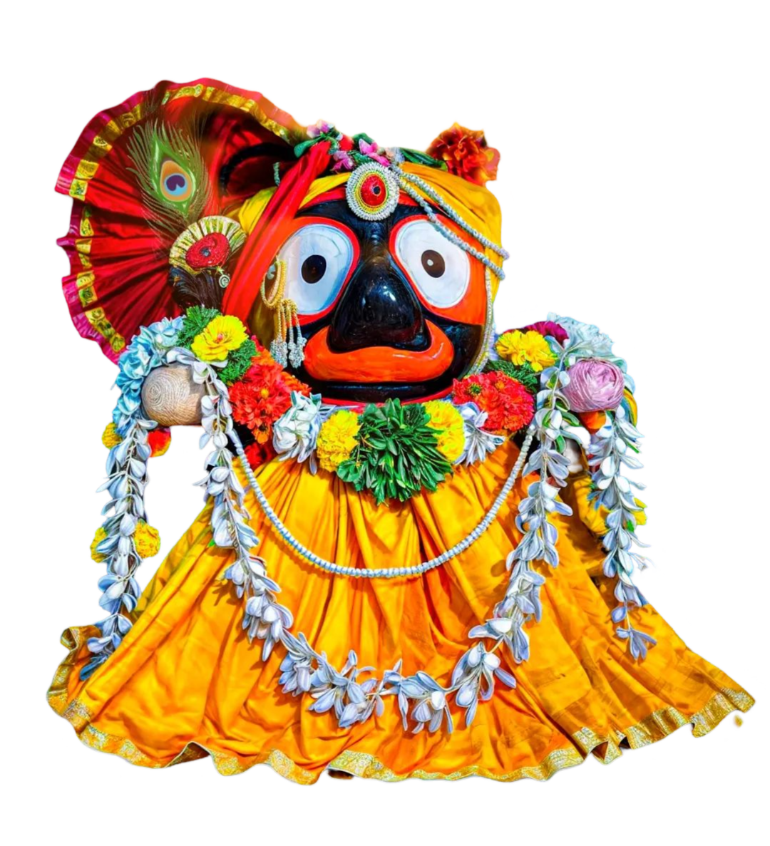 Foto Jagannath Png