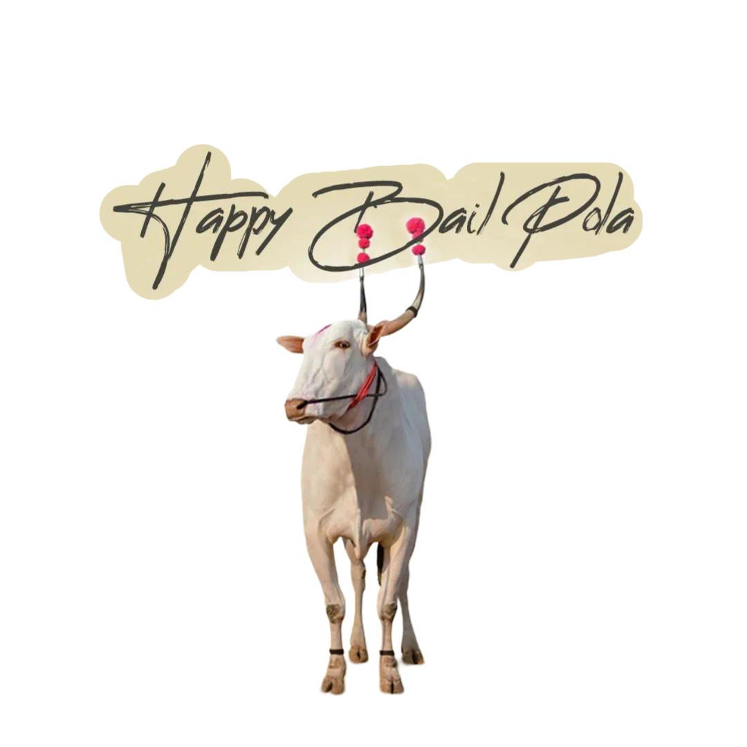 Bail Pola Png Text Photo