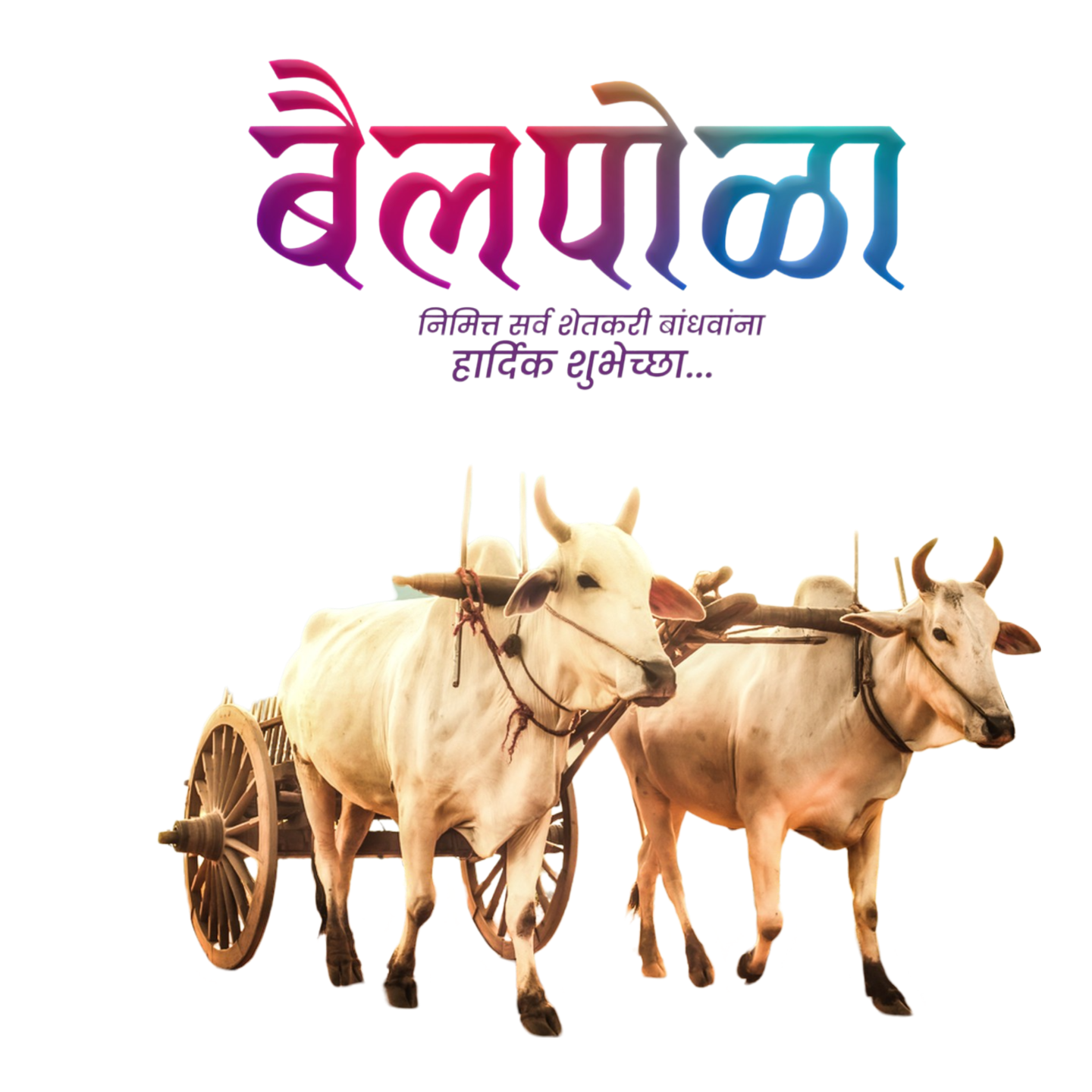 Bail Pola Png Text Image