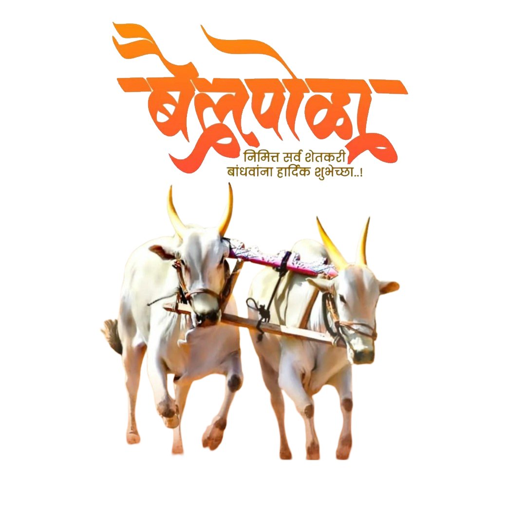 Bail Pola Png Text Photo