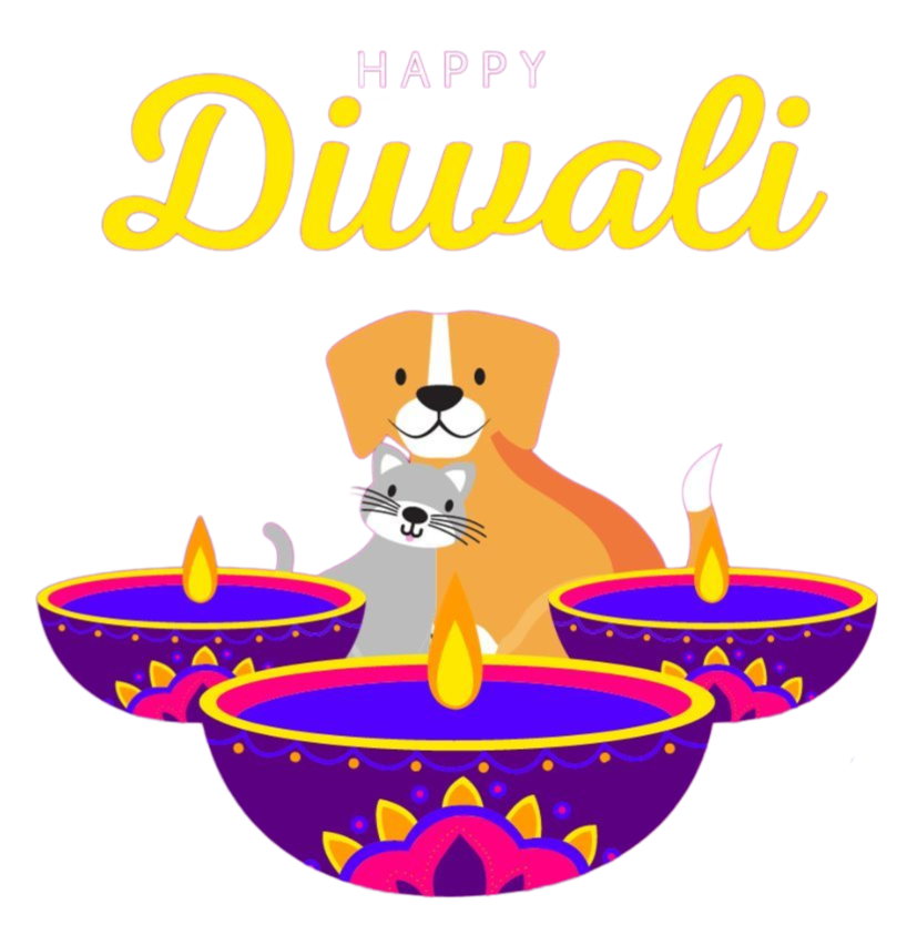 Pataka Diwali Png Image Free