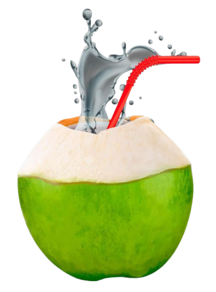 Green Coconut Png Picture Free