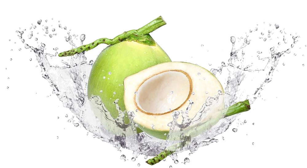 Green Coconut Png Transparent Image