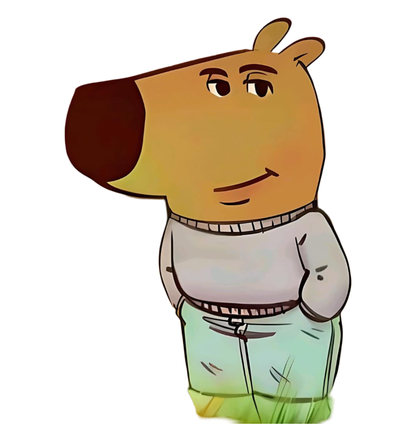 Chill Guy PNG Images Free Download