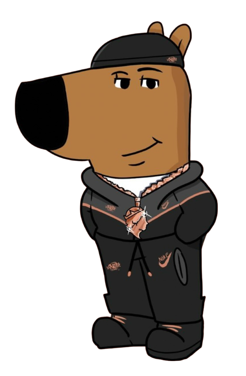 Chill Guy PNG Images Free Download